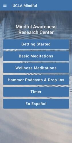 14 Popular Meditation Apps Reviewed by an Anxiety Therapist – Dauntless ...